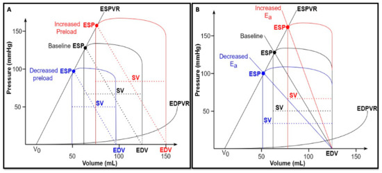 Looking Back, Going Forward: Understanding Cardiac Pathophysiology from ...