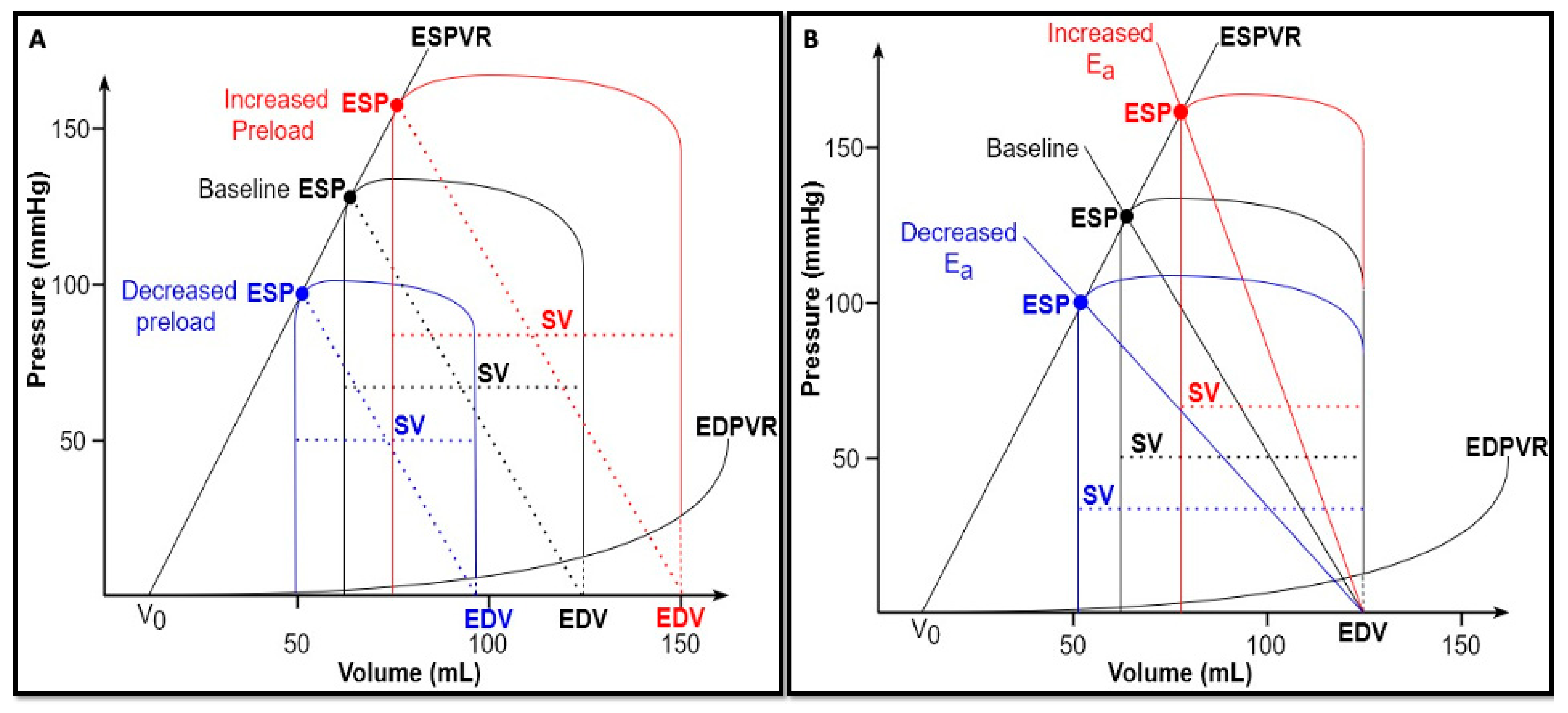 Looking Back, Going Forward: Understanding Cardiac Pathophysiology from ...