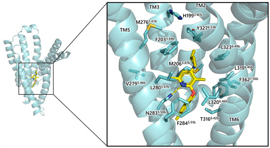 Structural and Functional Insights into CRF Peptides and Their Receptors