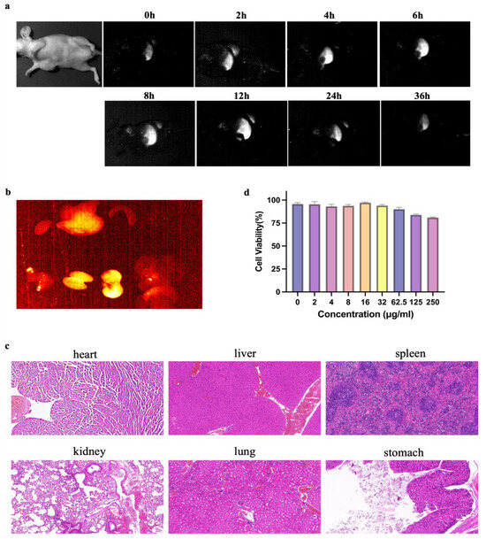 The Down-Shifting Luminescence of Rare-Earth Nanoparticles for ...