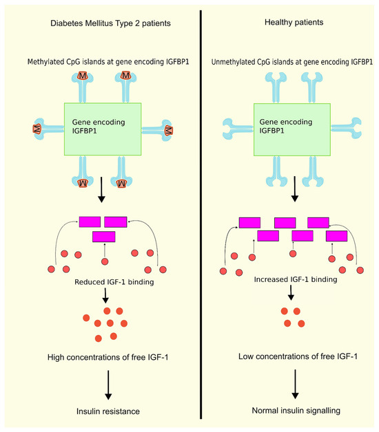 Epigenetic Alterations in Alzheimer’s Disease: Impact on Insulin ...