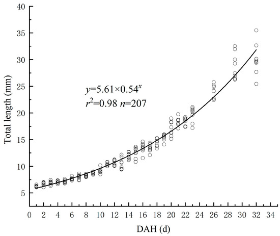 Allometric Growth Pattern and Hunger Tolerance of Hemibarbus maculatus ...