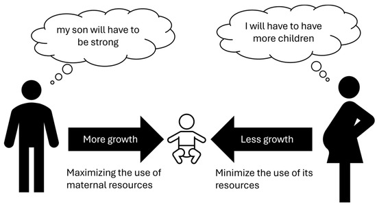 The “Bad Father”: Paternal Role in Biology of Pregnancy and in Birth ...