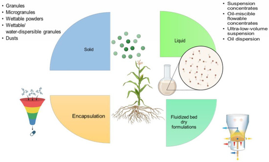 Advances in the Development of Biofertilizers and Biostimulants from Microalgae