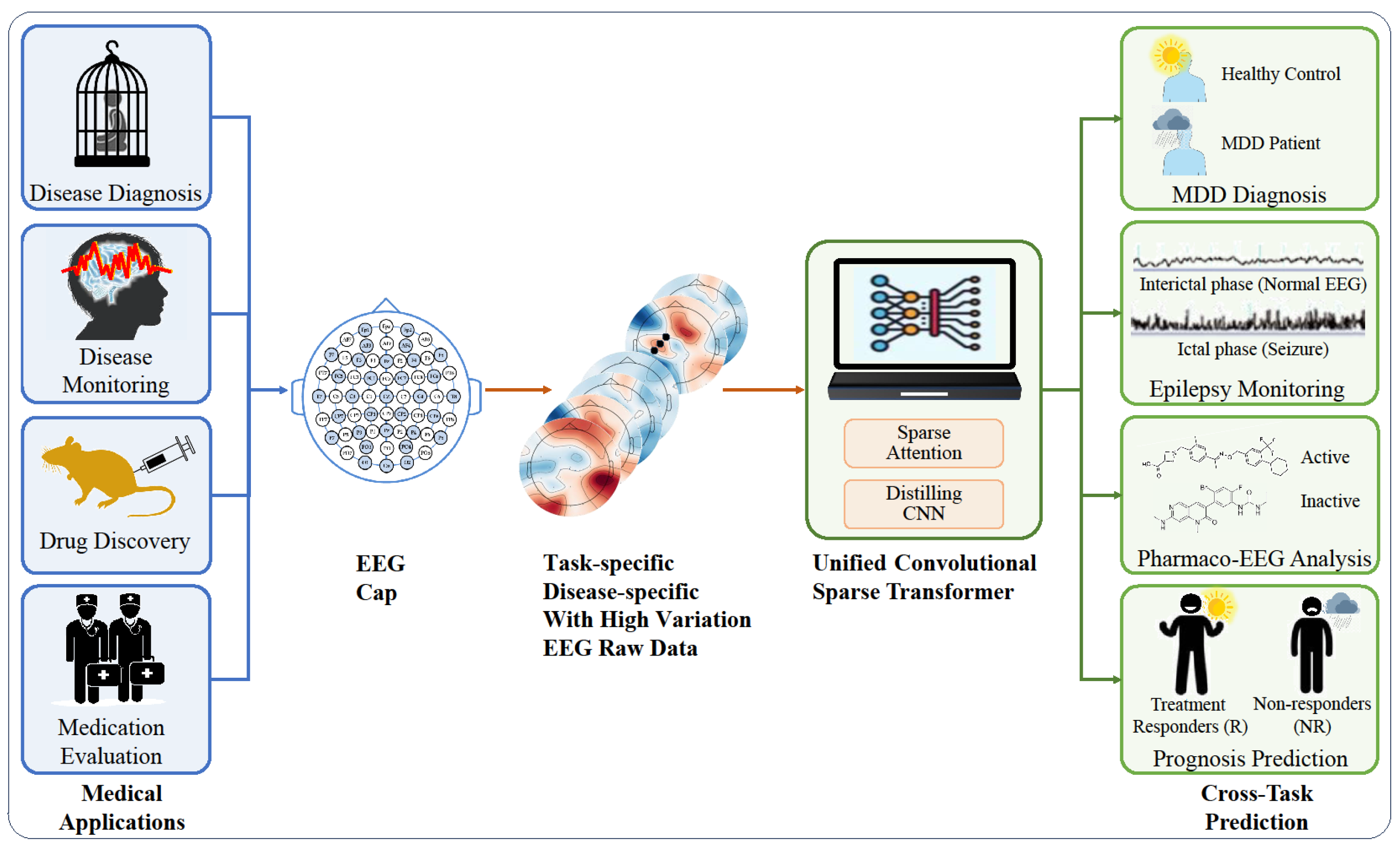 Unified Convolutional Sparse Transformer for Disease Diagnosis, Monitoring, Drug Development ...