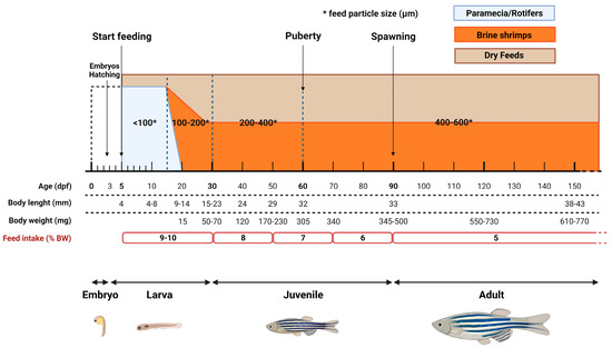 Zebrafish Feed Intake: A Systematic Review for Standardizing Feeding ...
