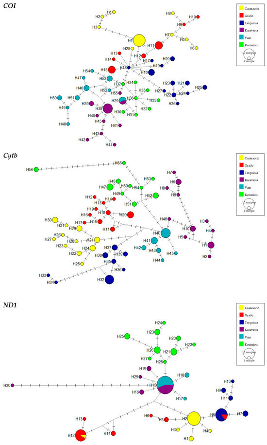 Evidence for Selection on Mitochondrial OXPHOS Genes in the ...