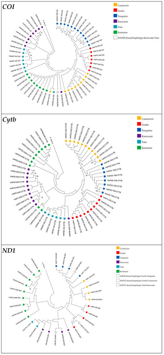 Evidence for Selection on Mitochondrial OXPHOS Genes in the ...