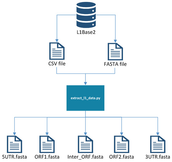 Biology | Free Full-Text | Improved LINE-1 Detection through Pattern ...