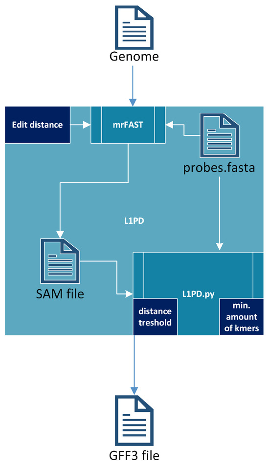 Biology | Free Full-Text | Improved LINE-1 Detection through Pattern Matching by Increasing ...