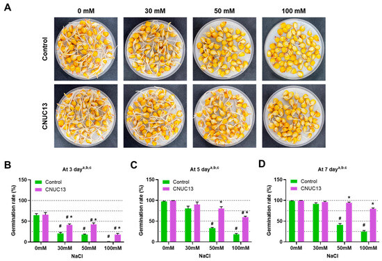 Microbacterium azadirachtae CNUC13 Enhances Salt Tolerance in Maize by ...