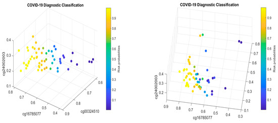 Biology | Free Full-Text | The Initial COVID-19 Reliable Interactive ...