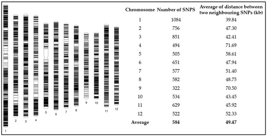 Genome-Wide Association Study of Early Vigour-Related Traits for a Rice ...