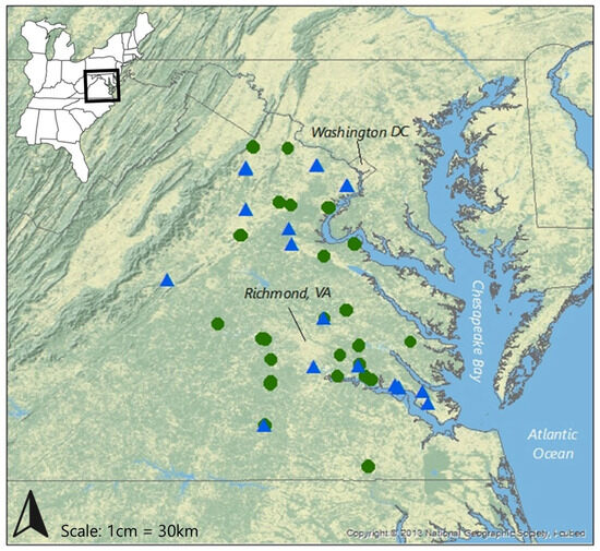 Impacts of Invasive Plants on Native Vegetation Communities in Wetland and Stream Mitigation
