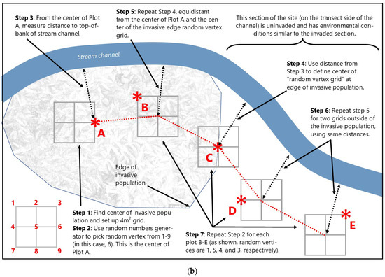 Impacts of Invasive Plants on Native Vegetation Communities in Wetland and Stream Mitigation