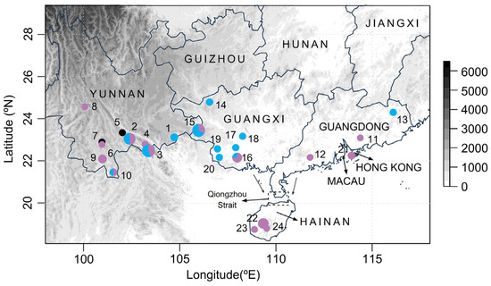 Phylogeographic Pattern of the Assassin Bug Sycanus bifidus Inferred ...