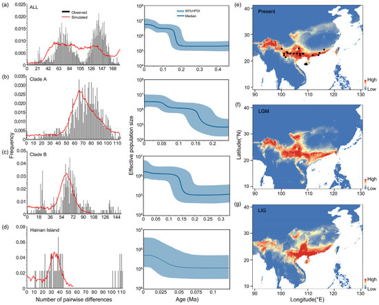 Phylogeographic Pattern of the Assassin Bug Sycanus bifidus Inferred ...