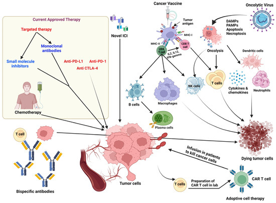 Current Landscape of Cancer Immunotherapy: Harnessing the Immune ...