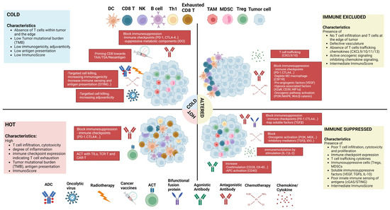 Biology | Free Full-Text | Current Landscape of Cancer Immunotherapy ...