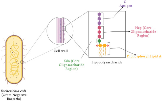 Lysophosphatidylcholine Acetyltransferase 2 (LPCAT2) Influences the ...