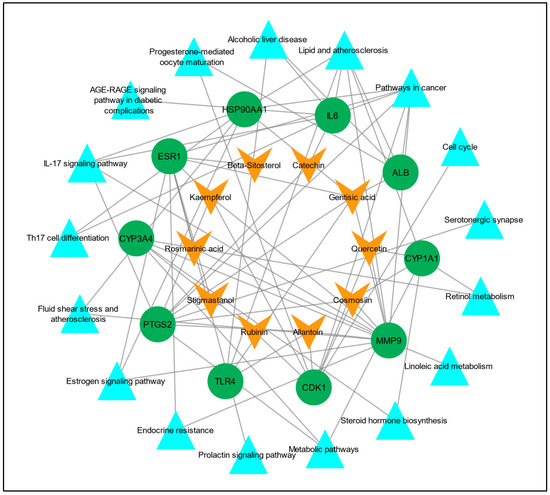 Network Pharmacology, Molecular Docking, and Molecular Dynamics Simulation Analysis Reveal ...