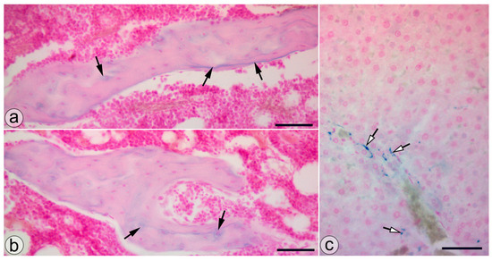 The Histological and Biochemical Assessment of Monoiodoacetate-Induced ...