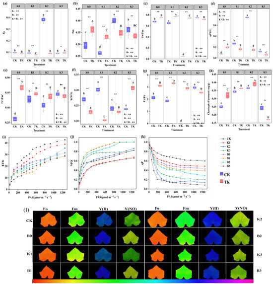 Effects of Bacillus subtilis on Cucumber Seedling Growth and ...