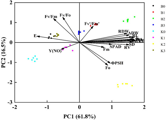 Effects of Bacillus subtilis on Cucumber Seedling Growth and ...
