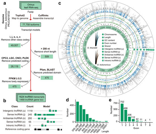 Transcriptomic Profiles of Long Noncoding RNAs and Their Target Protein ...