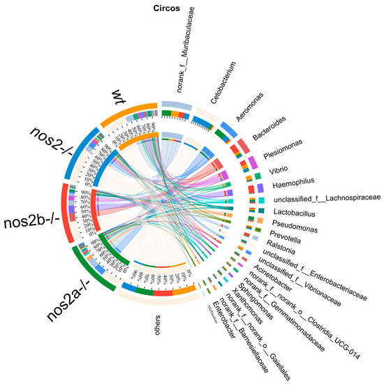 Effects of Inducible Nitric Oxide Synthase (iNOS) Gene Knockout on the ...