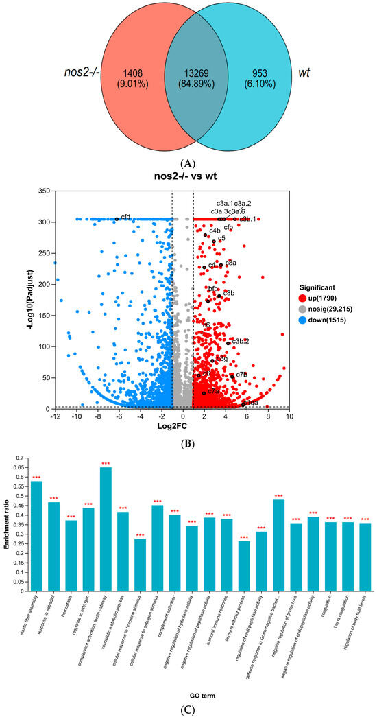 Biology | Free Full-Text | Effects of Inducible Nitric Oxide Synthase ...