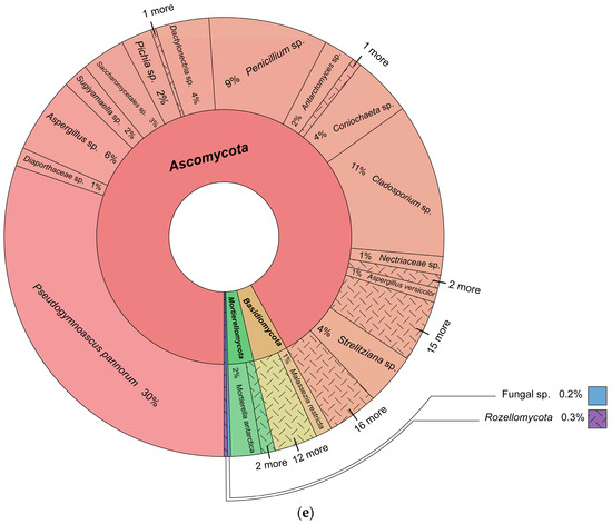 Endolithic Fungal Diversity in Antarctic Oligocene Rock Samples ...