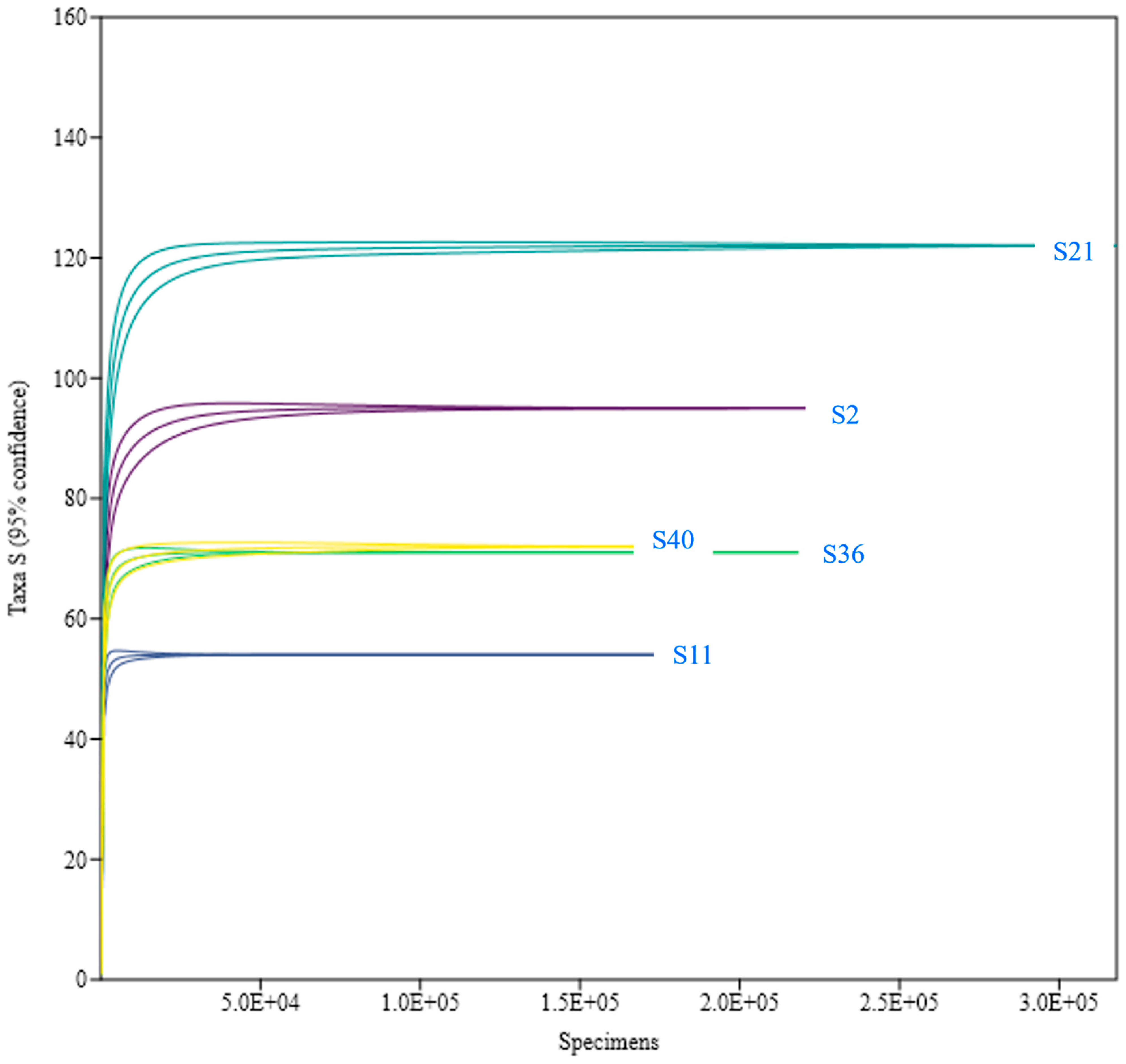 Endolithic Fungal Diversity in Antarctic Oligocene Rock Samples ...