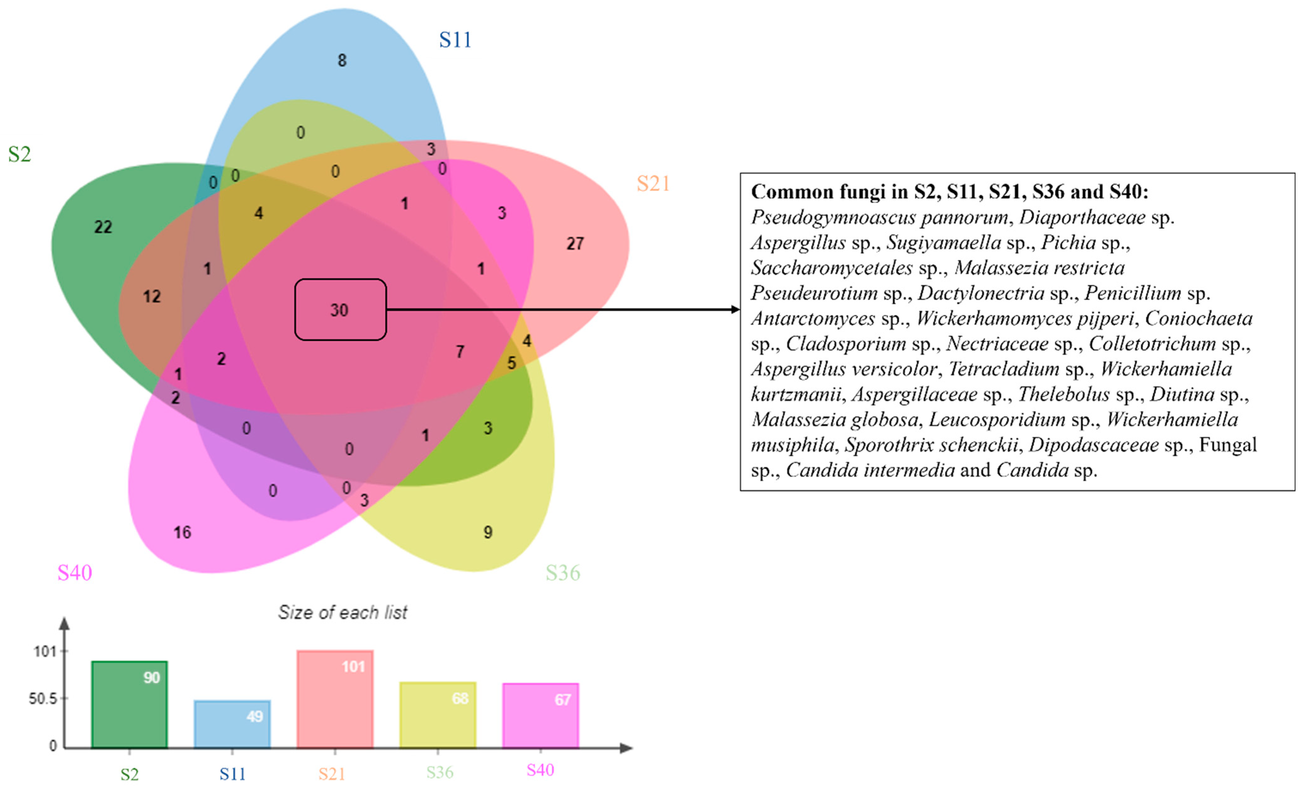 Endolithic Fungal Diversity in Antarctic Oligocene Rock Samples ...