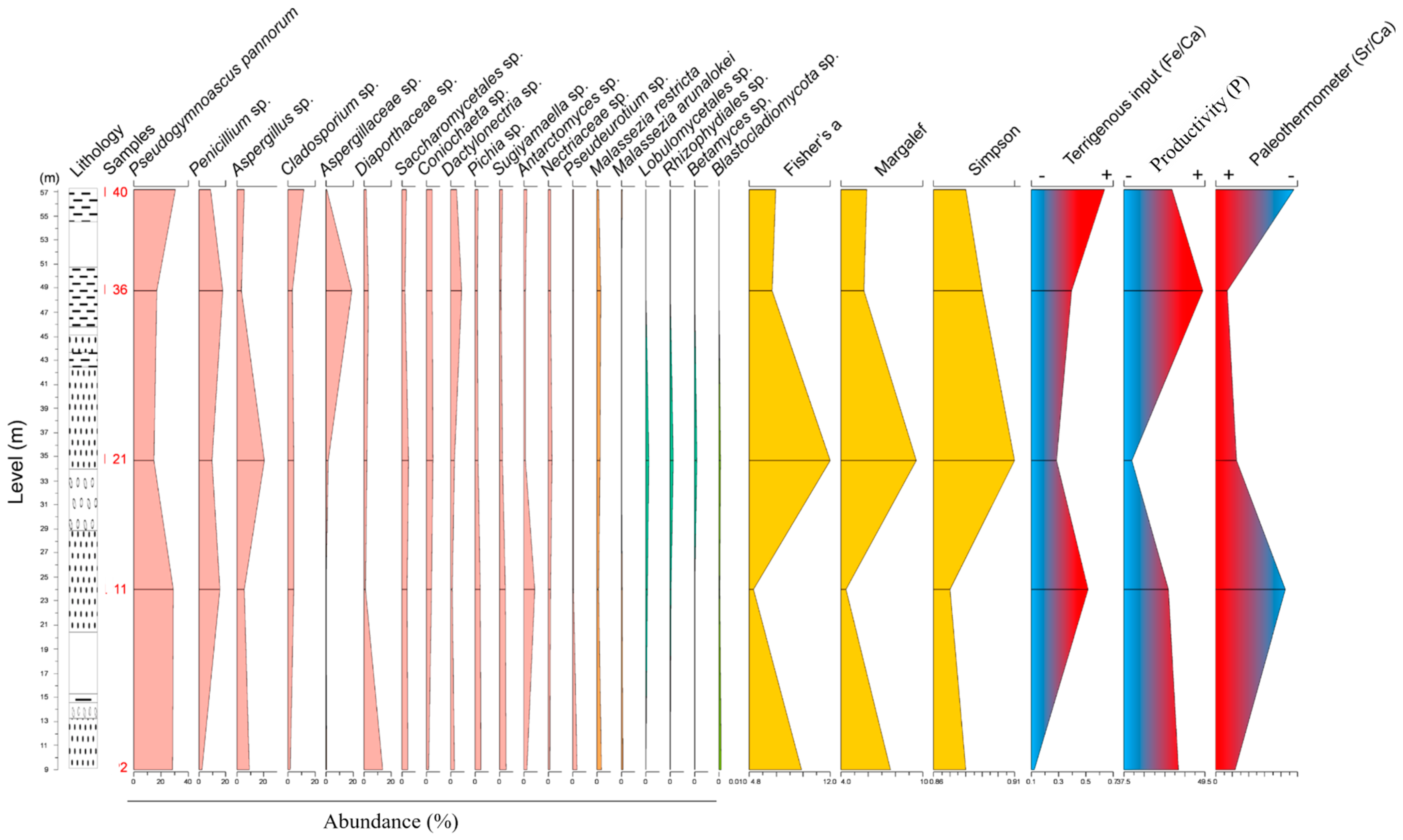 Endolithic Fungal Diversity in Antarctic Oligocene Rock Samples ...