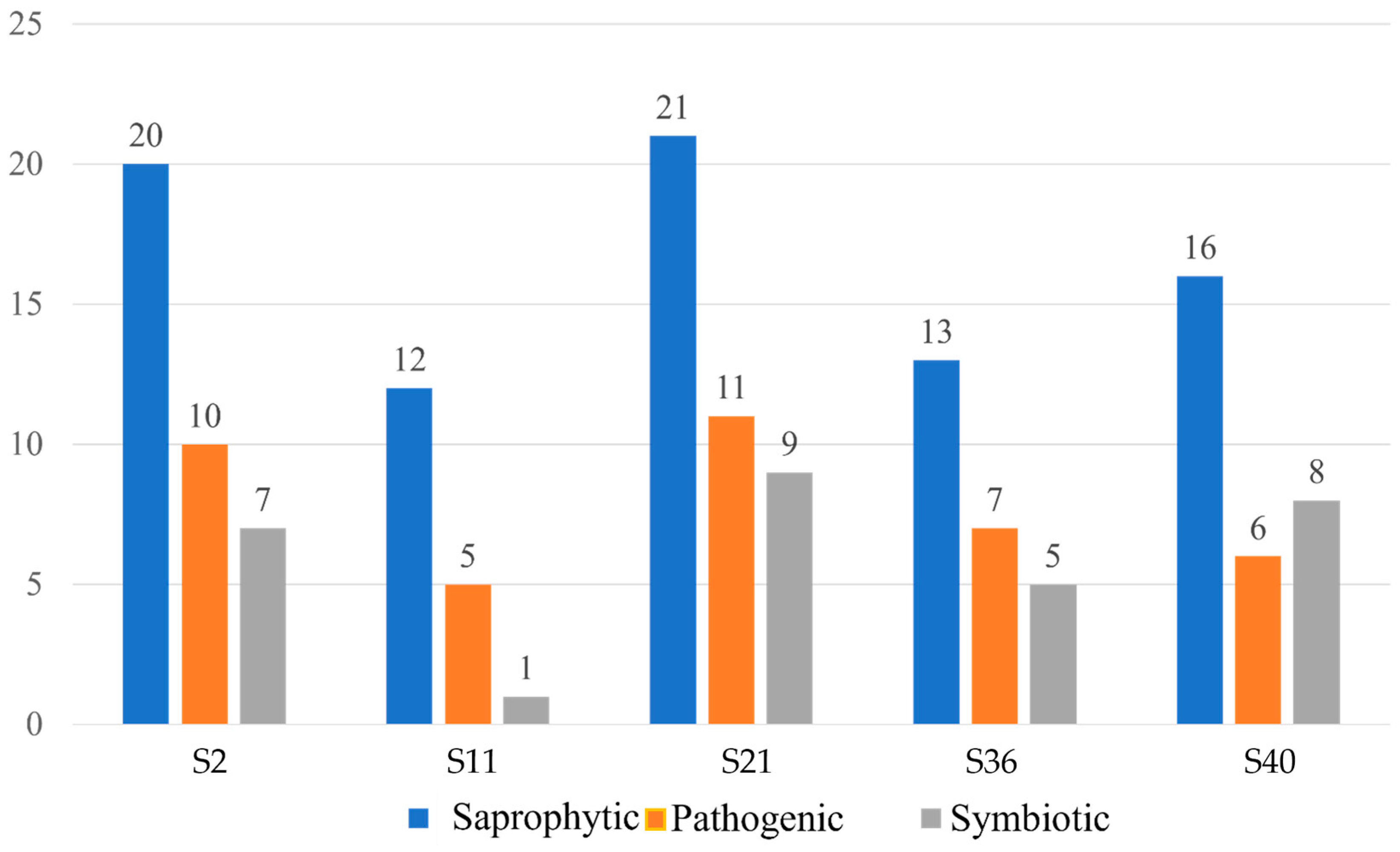 Endolithic Fungal Diversity in Antarctic Oligocene Rock Samples ...