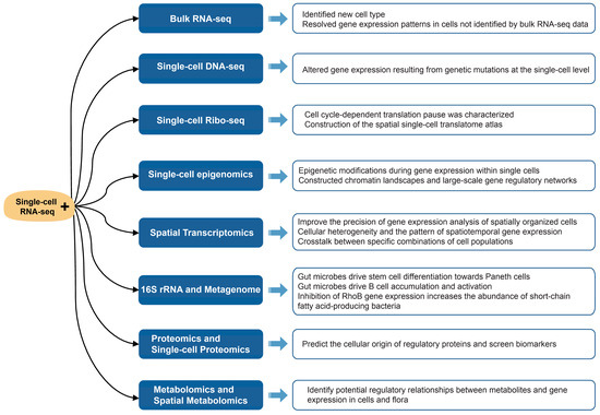 Biology | Free Full-Text | The Advancement and Application of the Single-Cell Transcriptome in ...