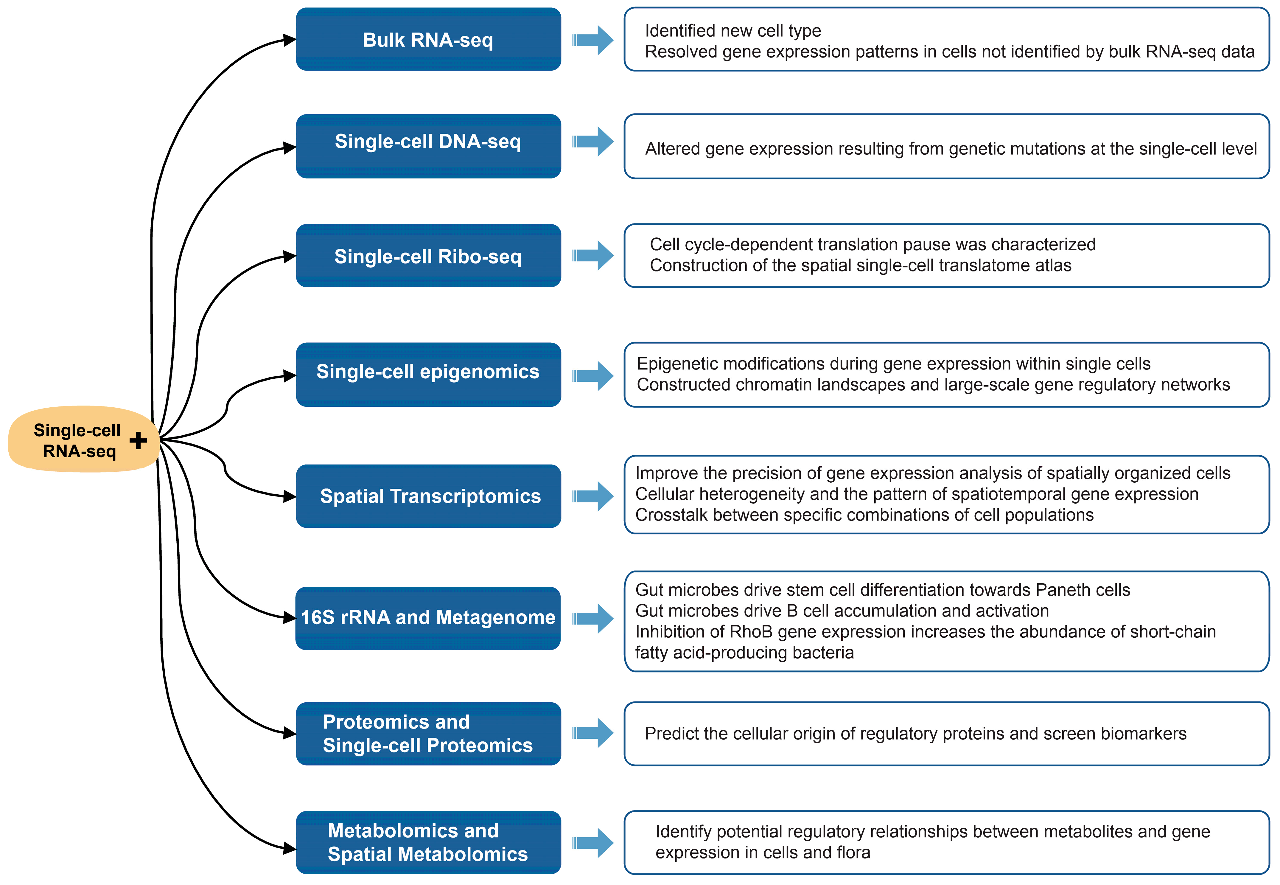Biology | Free Full-Text | The Advancement and Application of the Single-Cell Transcriptome in ...