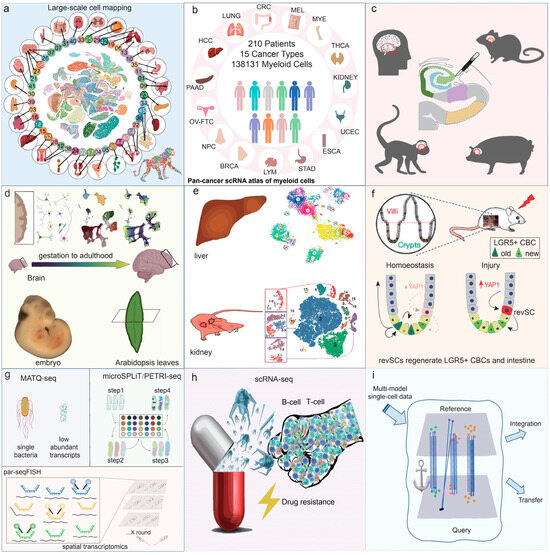 Biology | Free Full-Text | The Advancement and Application of the ...