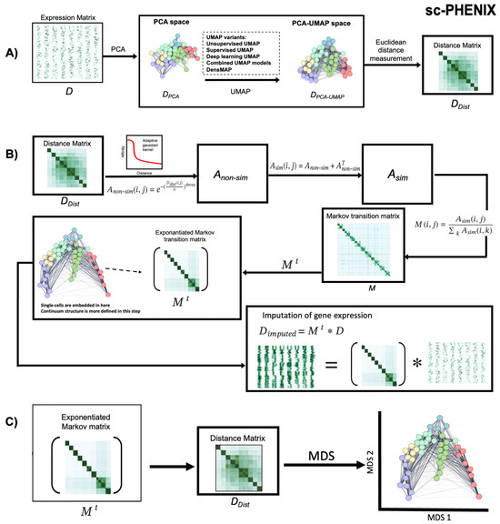 Biology | Free Full-Text | Diffusion on PCA-UMAP Manifold: The Impact ...