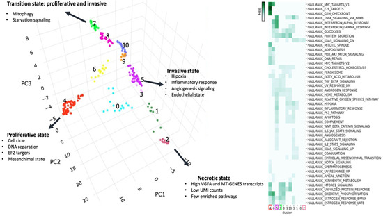 Biology | Free Full-Text | Diffusion on PCA-UMAP Manifold: The Impact ...
