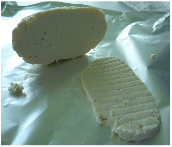 Biology | Free Full-Text | Exploring a Cheese Ripening Process That ...