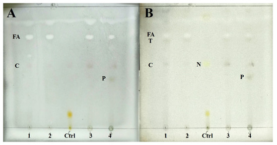 Three New Species and a New Record of the Lichen Genus Peltula ...