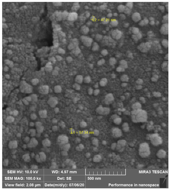 Advances in Regenerative and Reconstructive Medicine in the Prevention ...