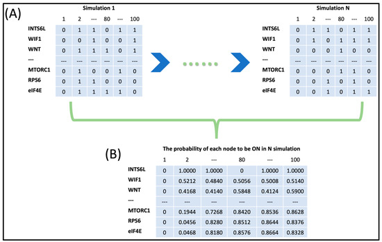 Biology | Free Full-Text | Boolean Modeling of Biological Network Applied to Protein–Protein ...