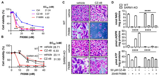 The Fluorinated NAD Precursors Enhance FK866 Cytotoxicity by Activating ...