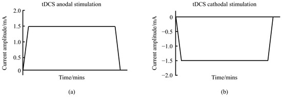 The Physiological Mechanisms of Transcranial Direct Current Stimulation ...