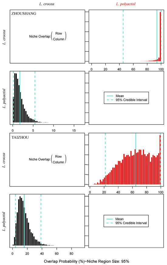 Large and Small Yellow Croakers Feeding and Living Together Make Large Yellow Croaker Population ...