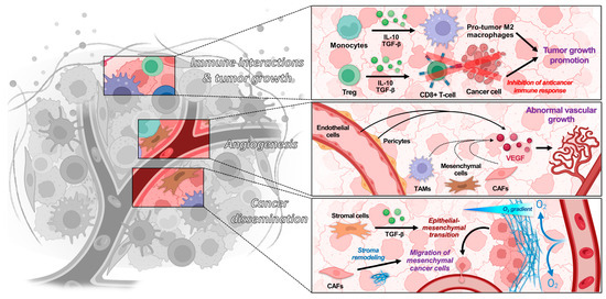 Unveiling the Tumor Microenvironment Through Fibroblast Activation ...