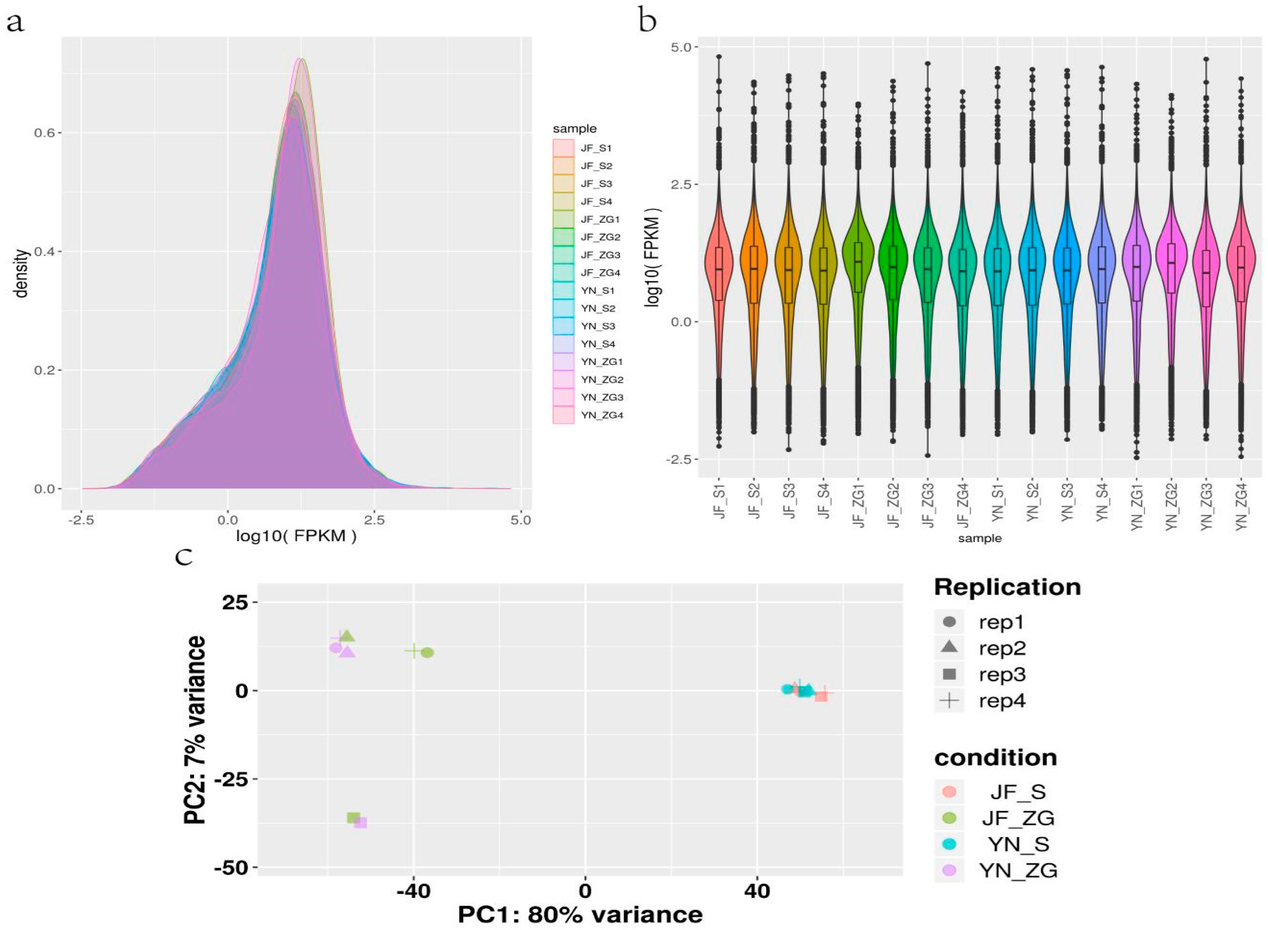 Eggshell Quality Traits and Transcriptome Gene Screening Between Yunnong and Jingfen Chicken Breeds